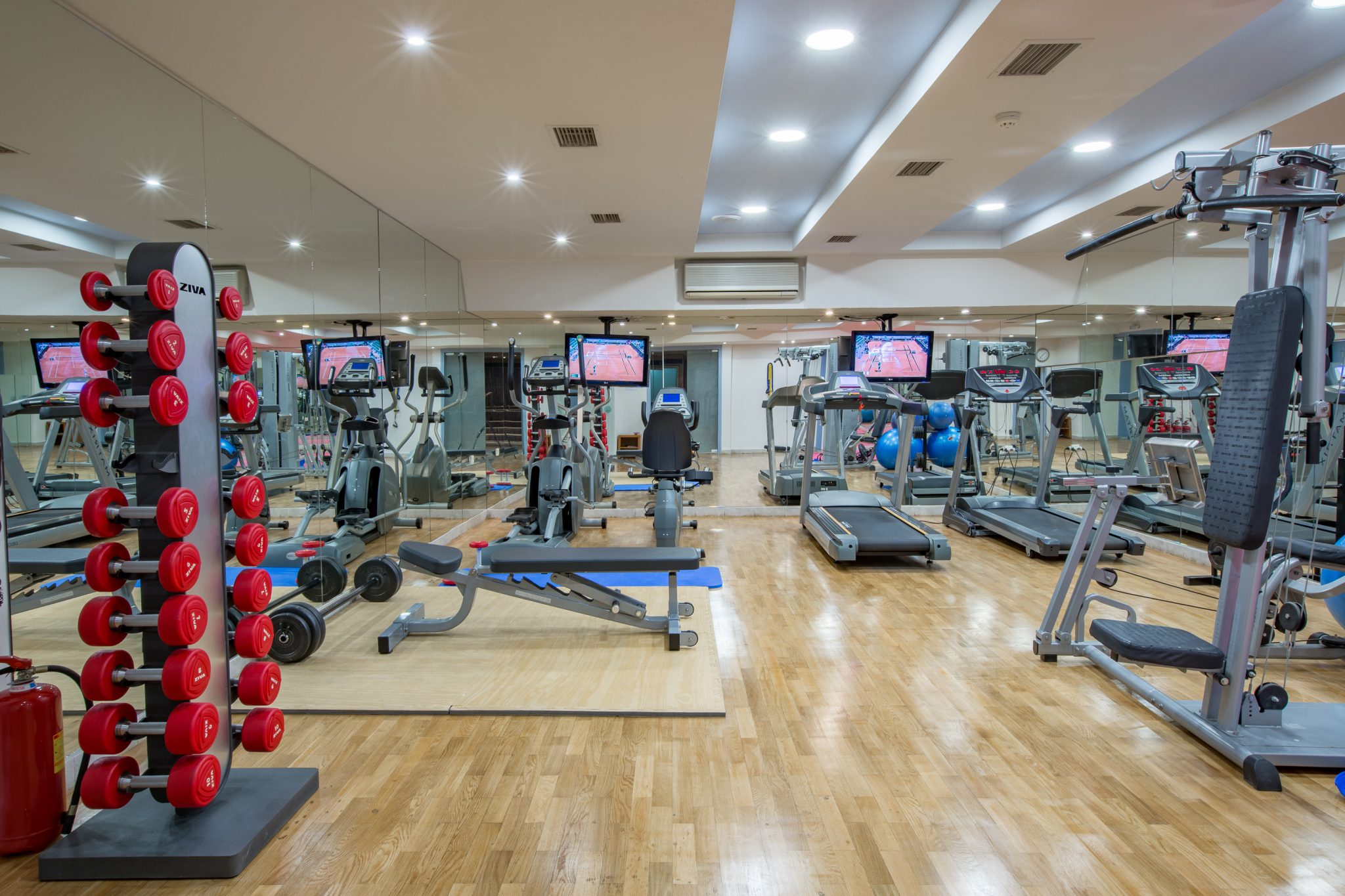Gym - BIO Suites Hotel & Spa in Rethymnon, Crete